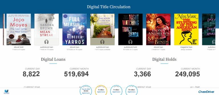WDL Insights Dashboard | Did You Know? | Wisconsin Public Library ...